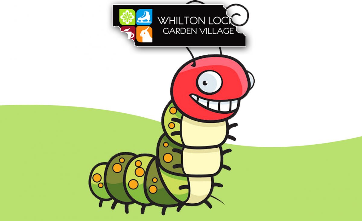 A Very Hungry Caterpillar | Nick Price Creatives Marketing & Design